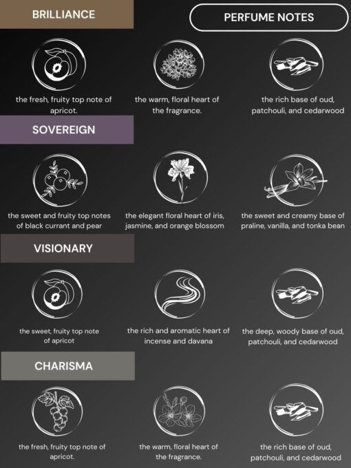 Brilliance, Sovereign, Visionary & Charisma Luxury Perfume Gift Set – 4 ...